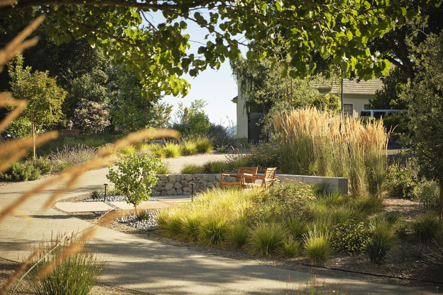 Alamo Hilltop | Huettl Landscape Architecture