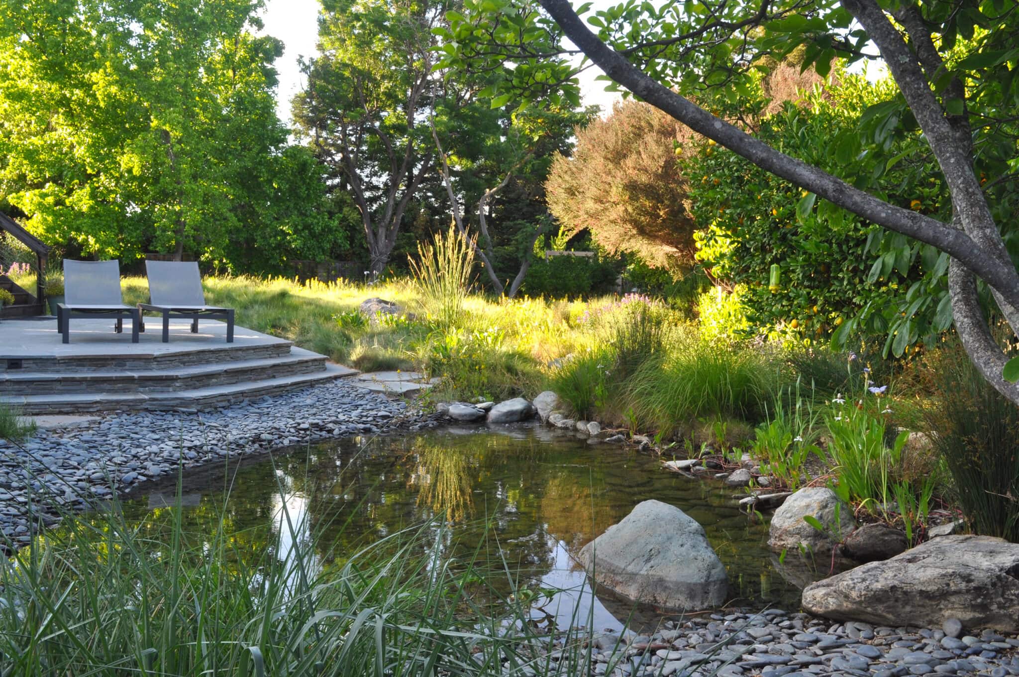 Small Lot Wilderness | Huettl Landscape Architecture